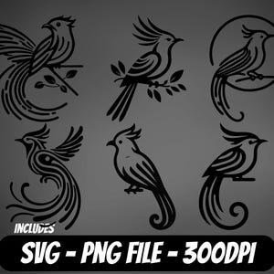 Quetzal Bird SVG Bundle | Intricate Quetzal Silhouettes PNG, Eps, DXF ...