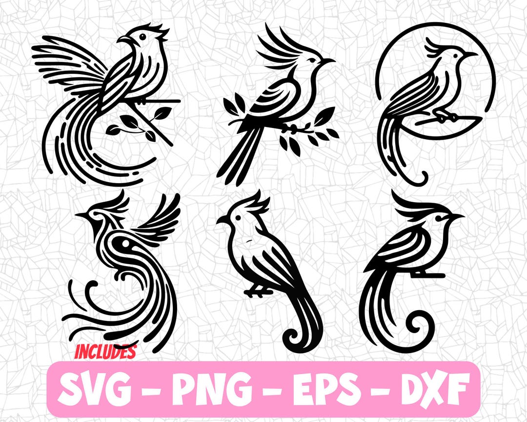 Quetzal Bird SVG Bundle | Intricate Quetzal Silhouettes PNG, Eps, DXF ...