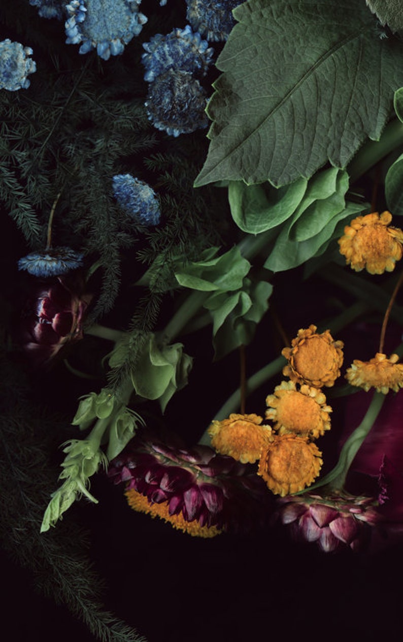 Large Scale Floral Wallpaper - Etsy