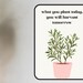 Plant Classroom Poster | Classroom Posters | English Teacher Posters ...