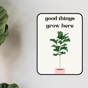 Plant Classroom Poster | Classroom Posters | English Teacher Posters ...
