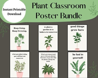 Plant Classroom Poster | Classroom Posters | English Teacher Posters ...