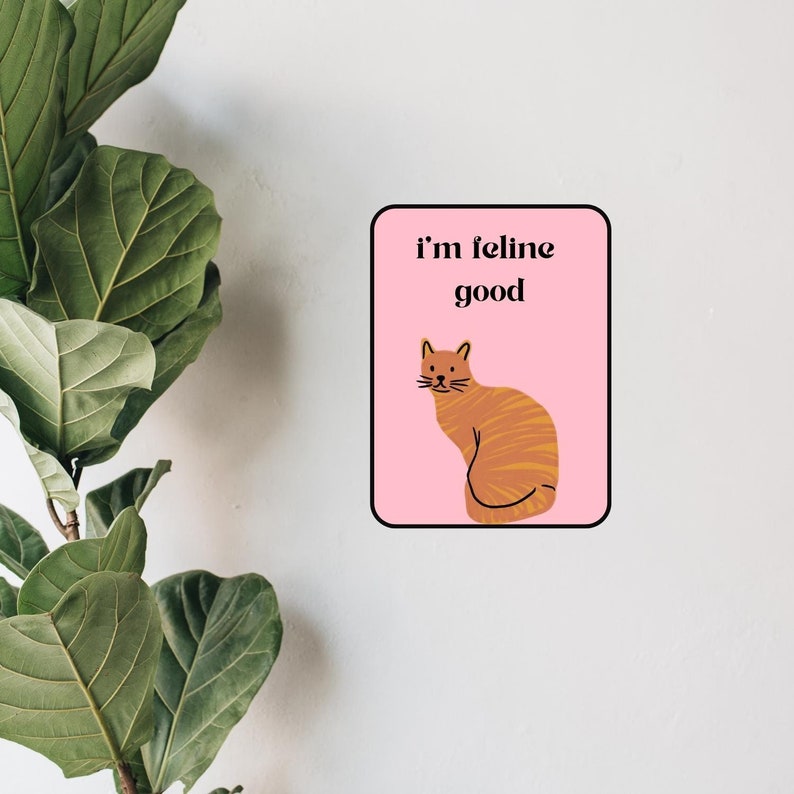 Cat Classroom Poster Classroom Posters English Teacher Posters Teacher ...