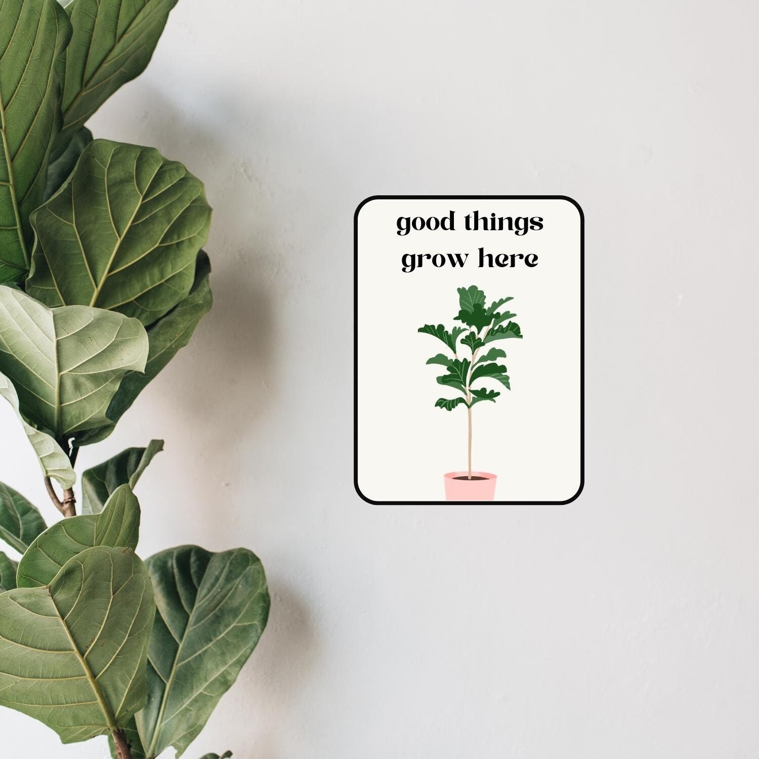 Plant Classroom Poster | Classroom Posters | English Teacher Posters ...