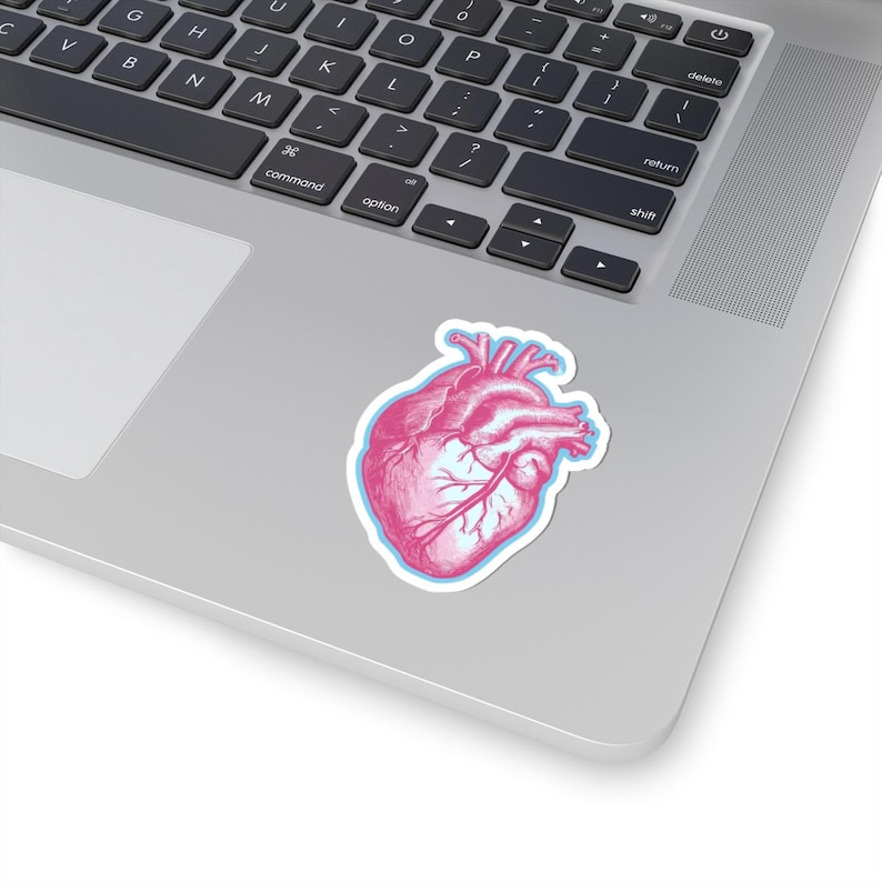 Anatomical Heart Sticker Realistic Heart Sticker Laptop Heart Decal ...