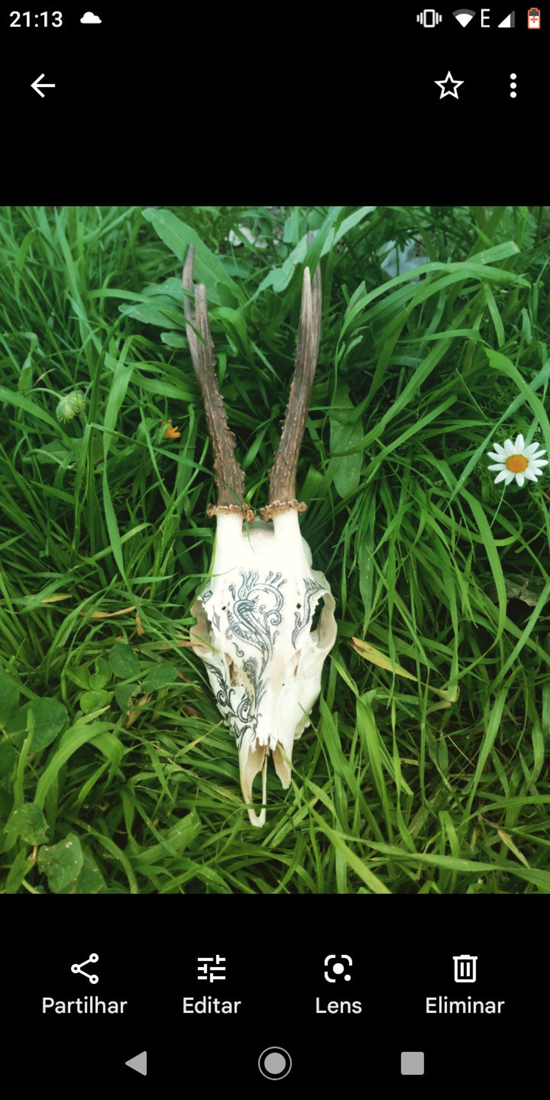 Dear Skull - Etsy