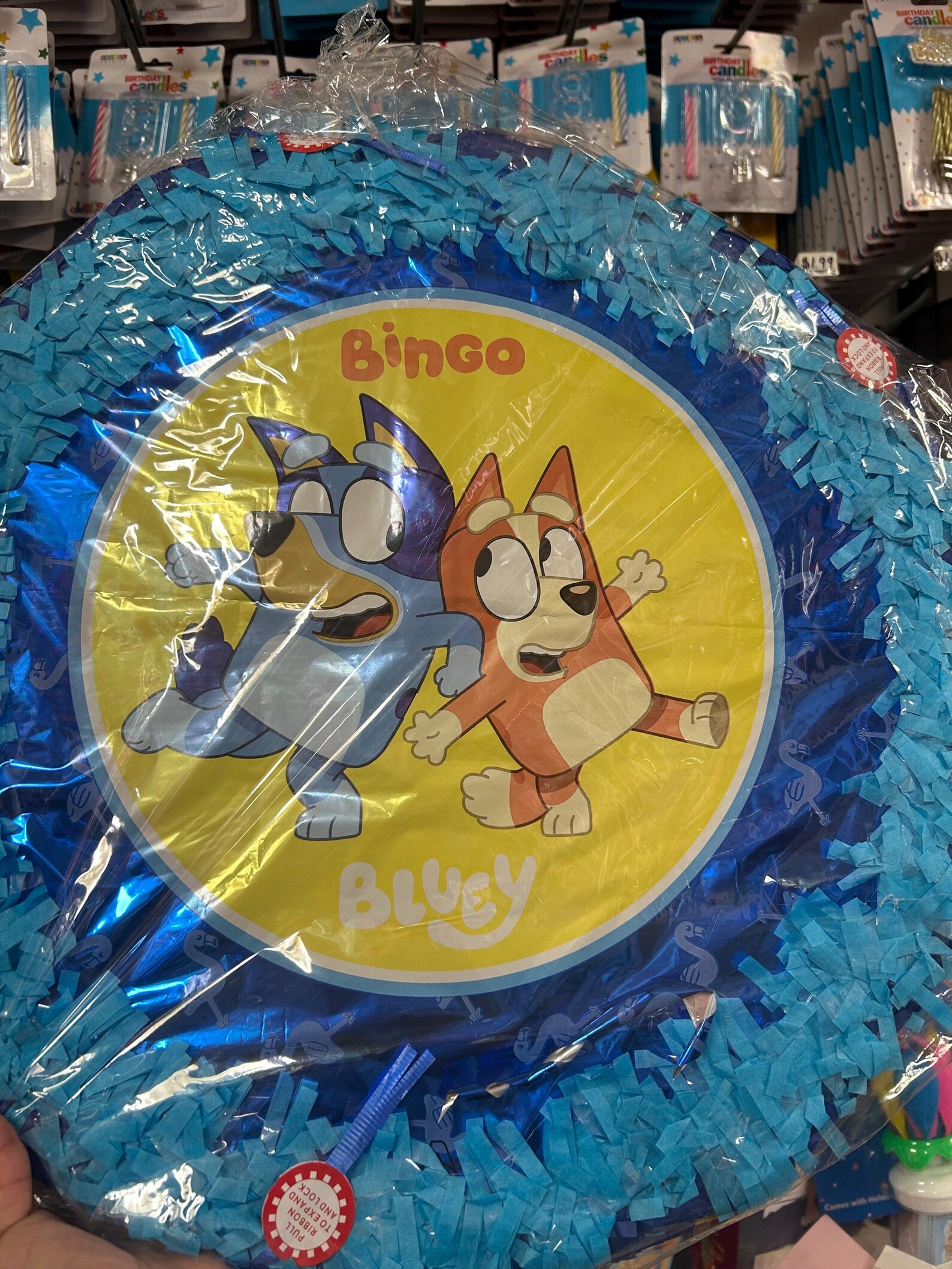 Bluey Piñata- Bingo Piñata - Pull Piñata -birthday - Etsy