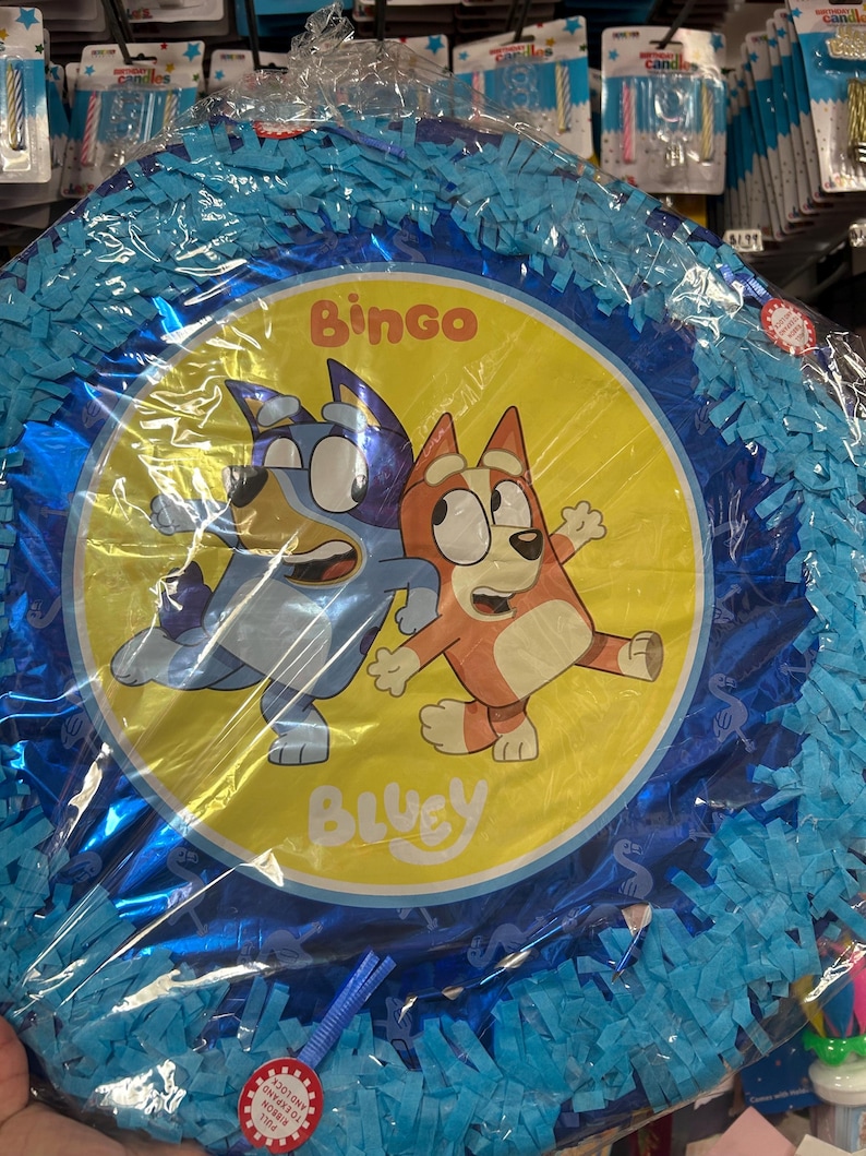 Bluey Piñata- Bingo Piñata - Pull Piñata -birthday - Etsy