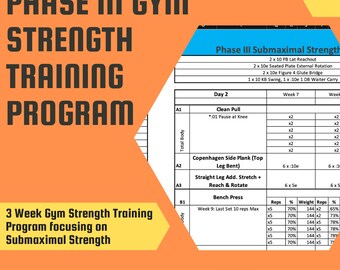 Total Body Gym Workout Program Phase I (Instant Download) - Etsy