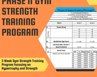 Total Body Gym Workout Program Phase I (Instant Download) - Etsy