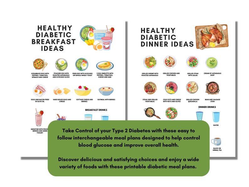 Diabetic Meal Plan Printable Handout for Healthy Diabetic - Etsy Canada