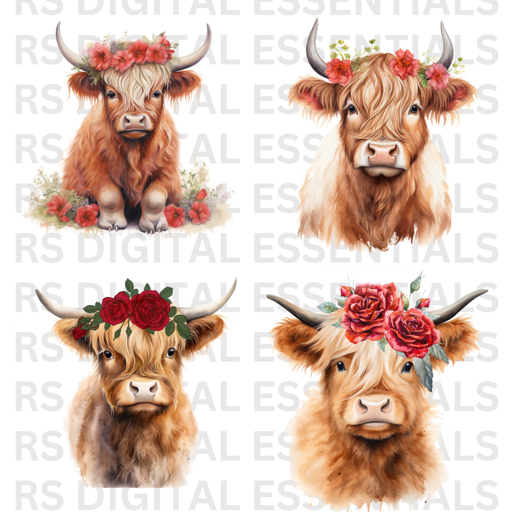 Highland Cow PNG Clipart Bundle/13 300 DPI Highland Cows With Floral ...