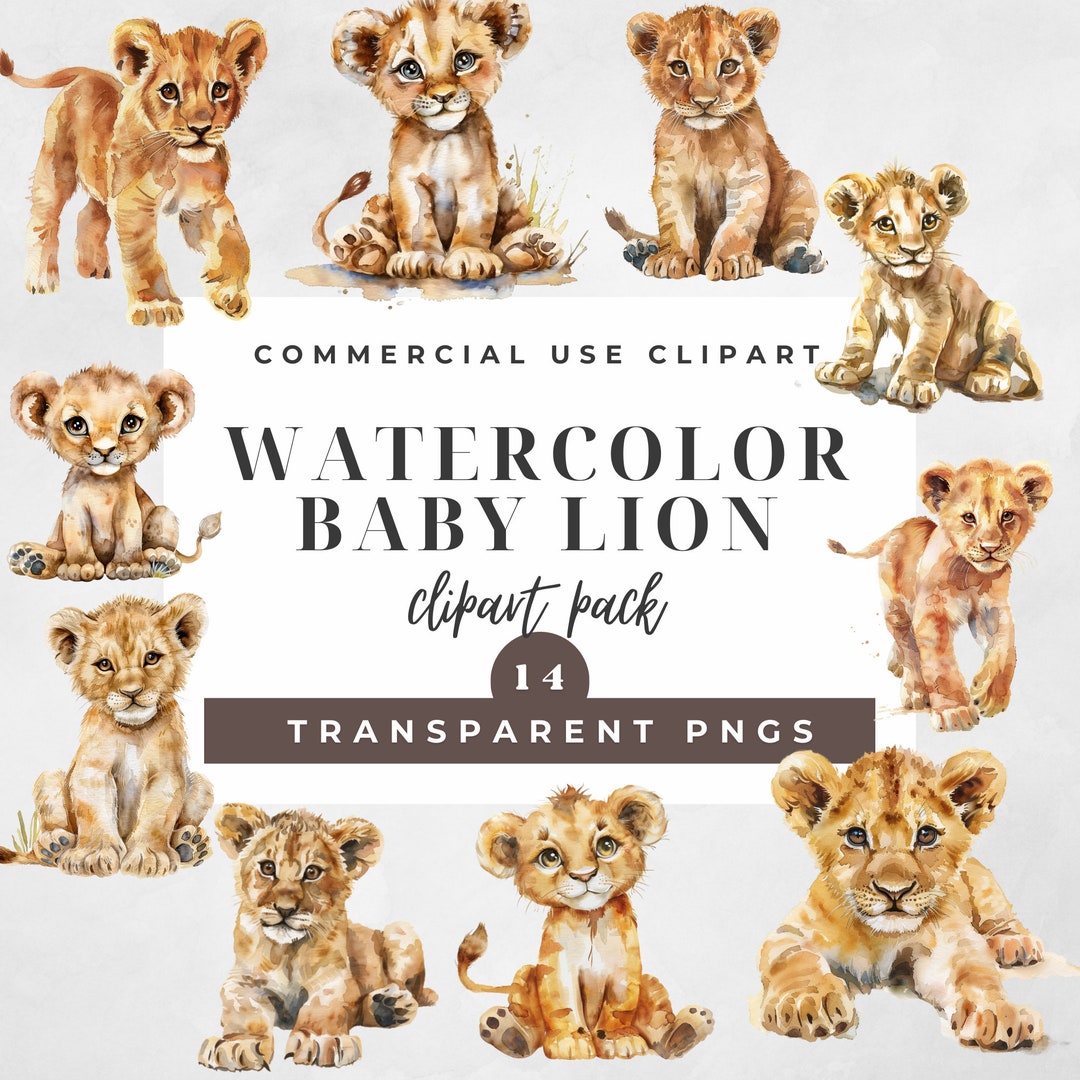 Watercolor Baby Lion Clipart/14 Lion Animal Graphics/animal Sublimation ...