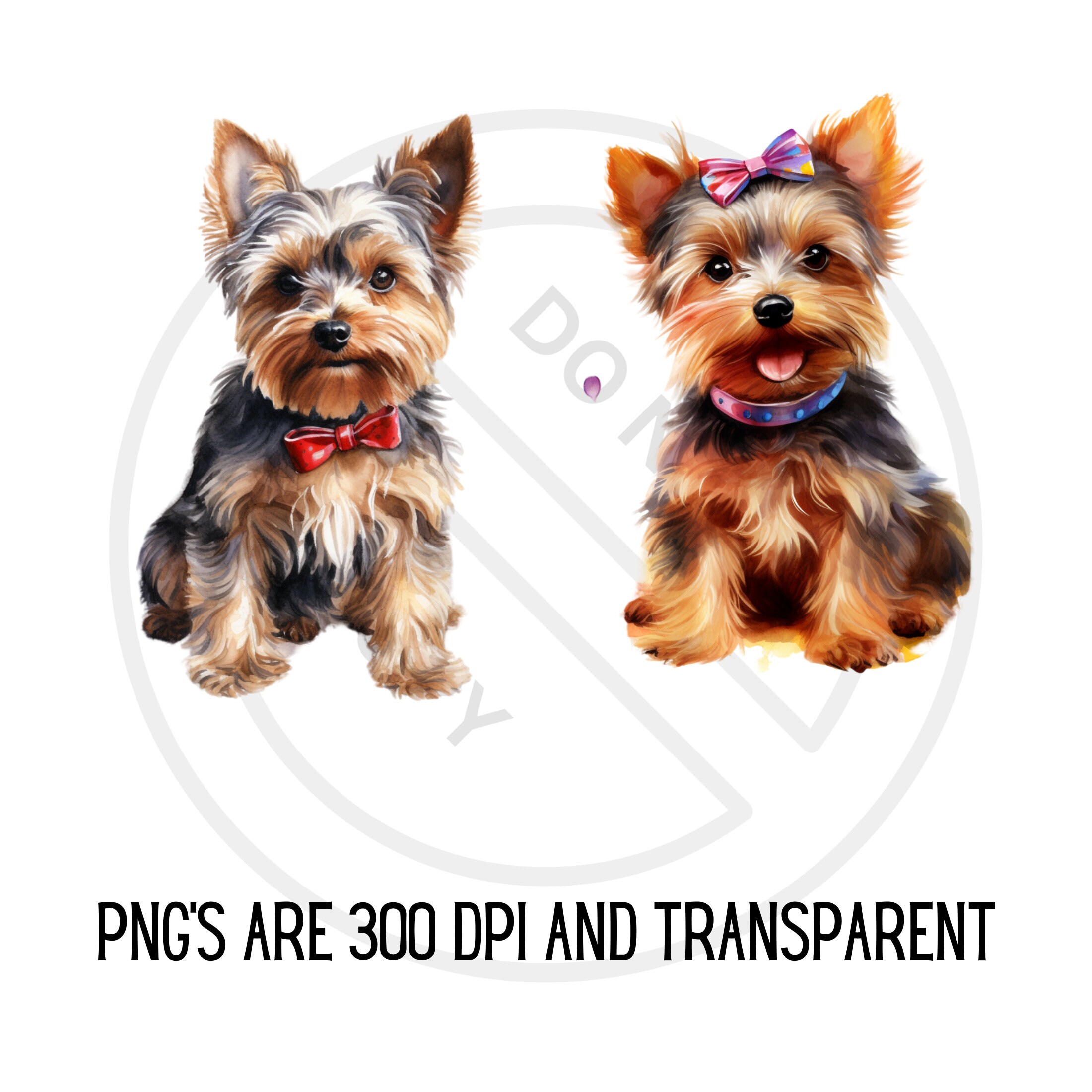Yorkshire Terrier Clipart Bundle/instant Download 25 Png's/yorkie Lover ...