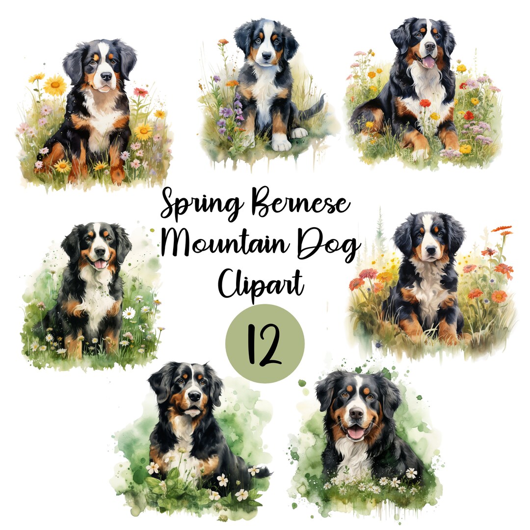 Spring Bernese Mountain Dog Clipart Bundle/instant Download 12 Png's ...