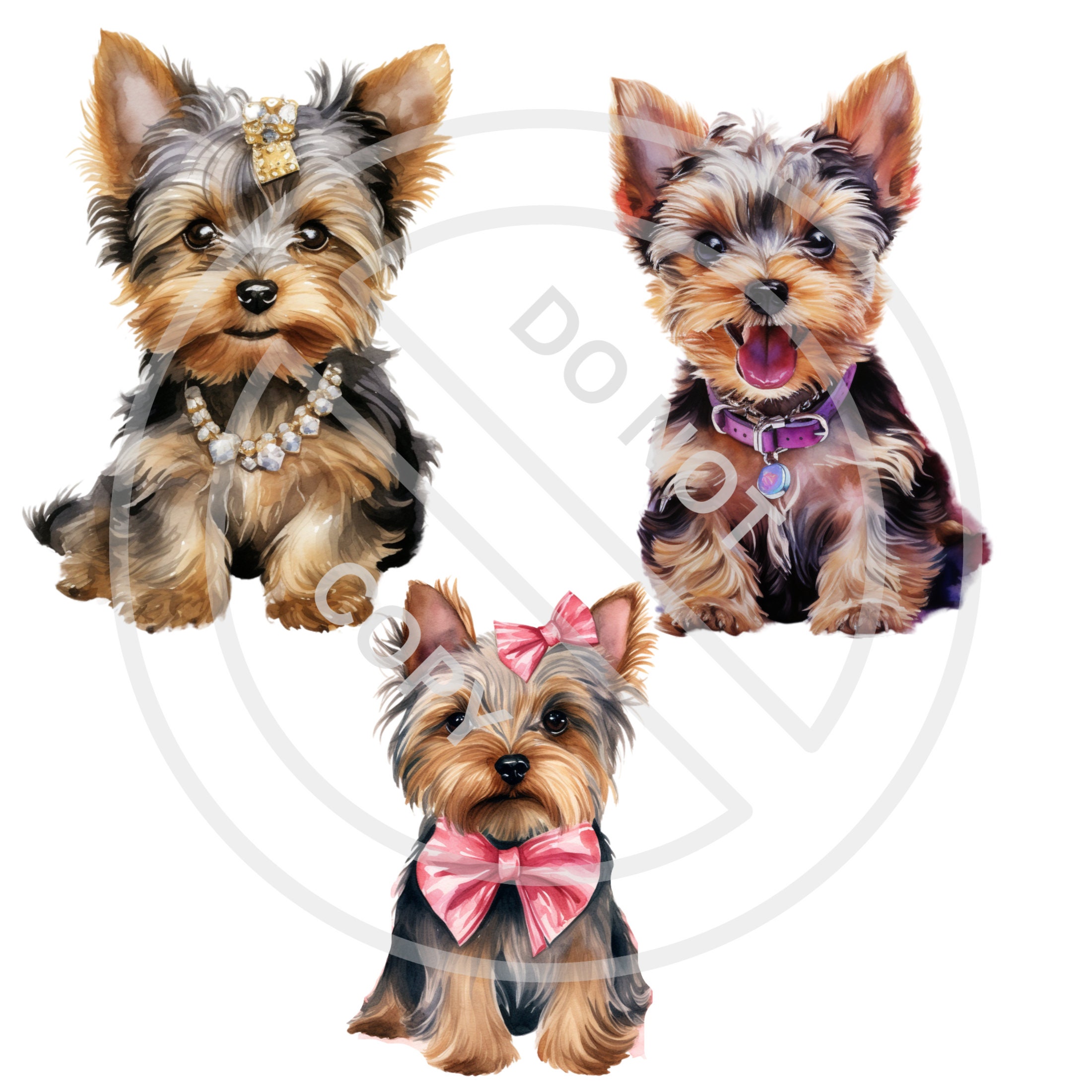 Yorkshire Terrier Clipart Bundle/instant Download 25 Png's/yorkie Lover Graphics/yorkie ...