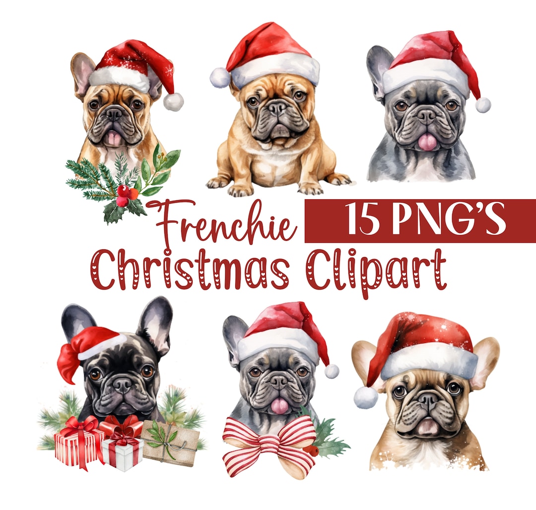 Christmas French Bulldog Clipart/holiday Frenchie PNG Clipart/frenchie ...