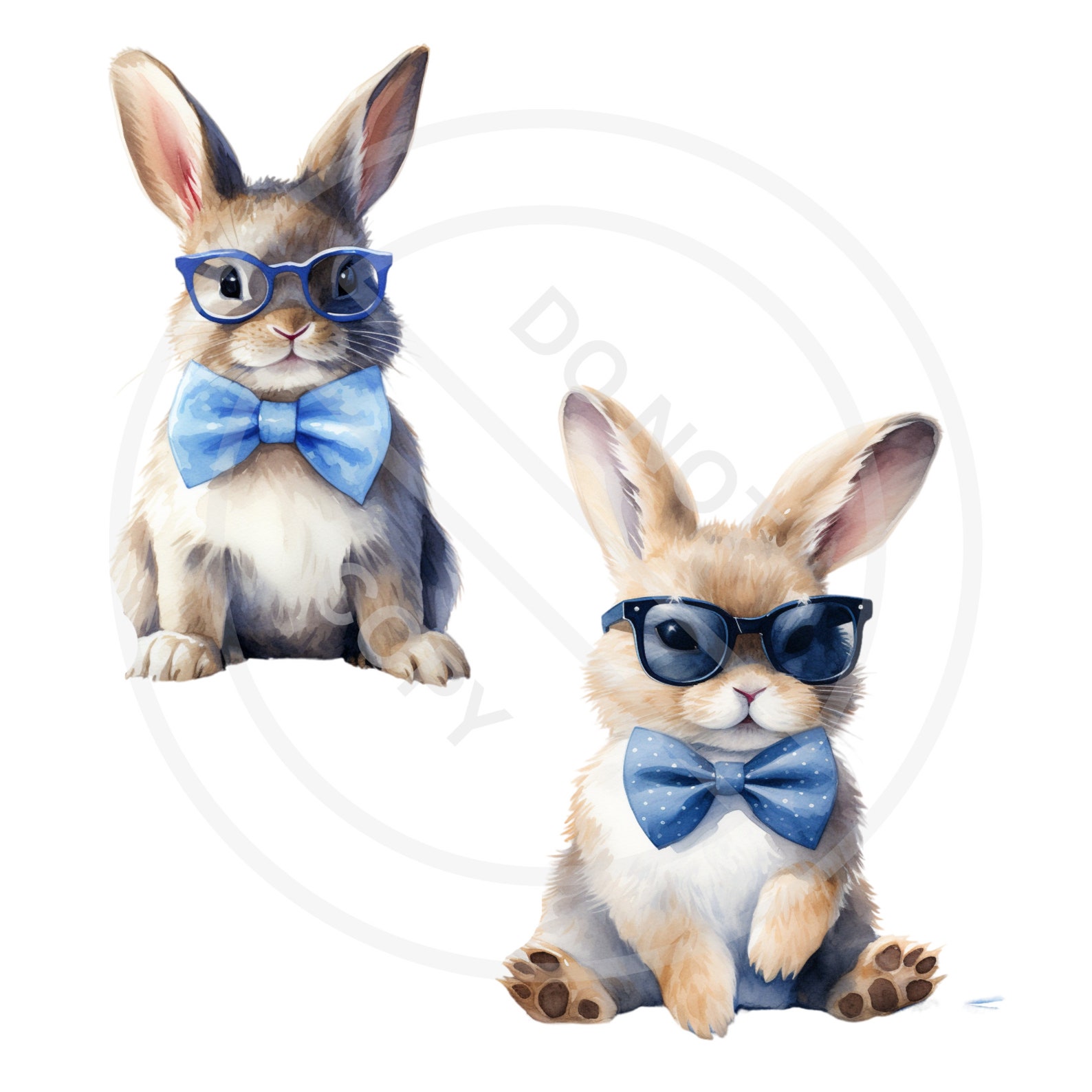 Bunnies With Glasses Clipart Bundle/14 Rabbits With Sunglasses Png's ...
