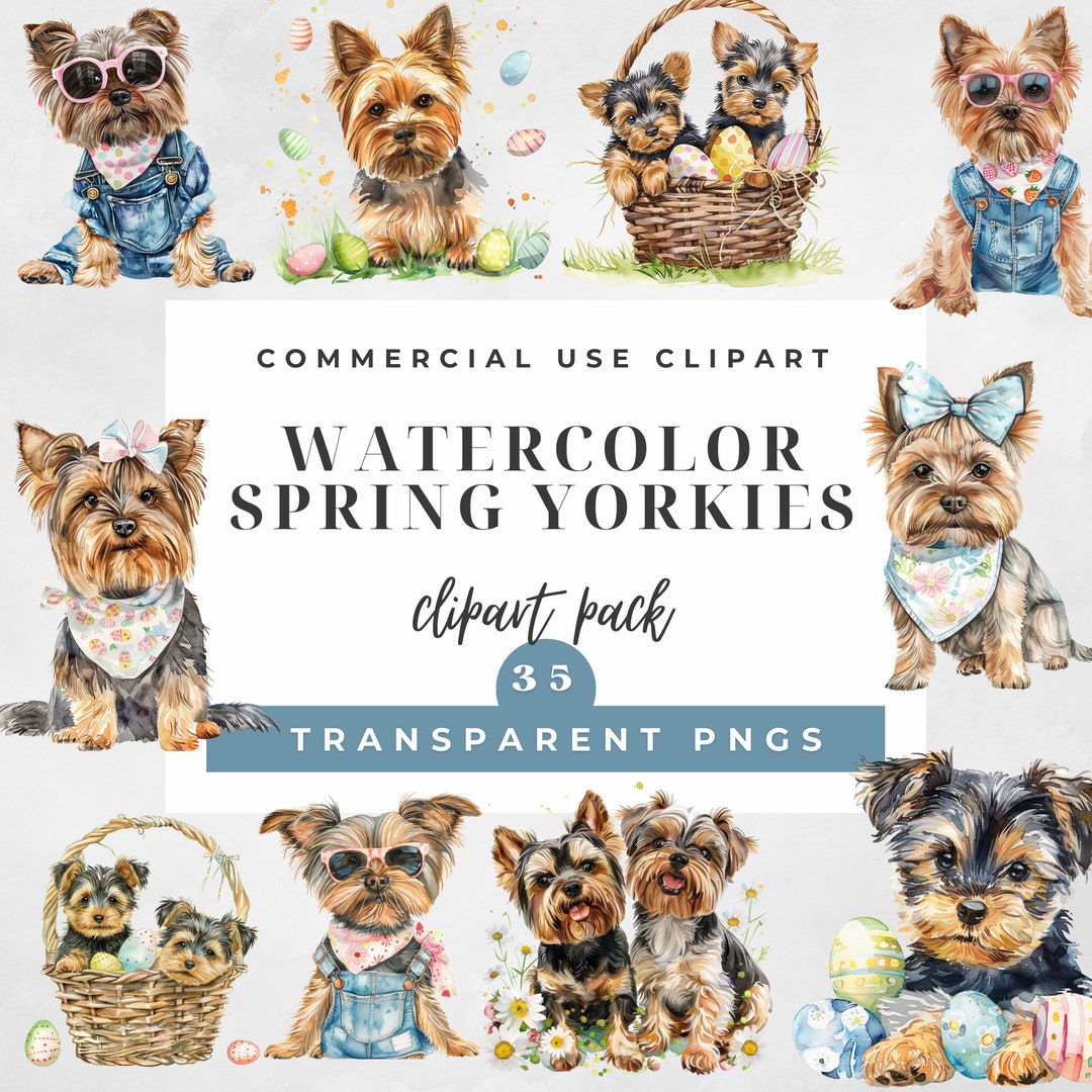 Spring Yorkshire Terrier Clipart Bundle/instant Download 24 Png's/dog ...
