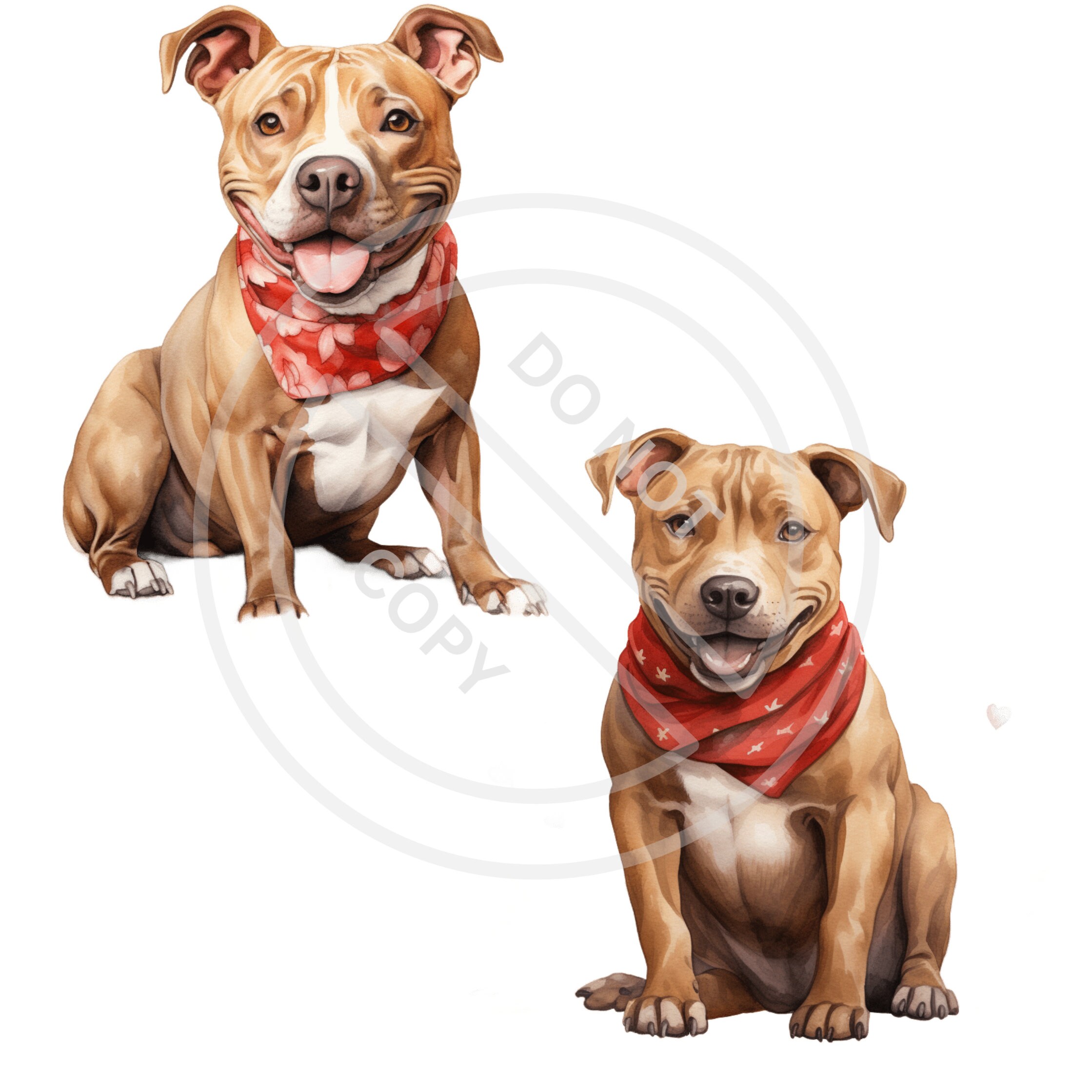 Pitbull PNG Clipart Bundle/pitbull Graphics/14 Pitbull Prints/300 DPI ...