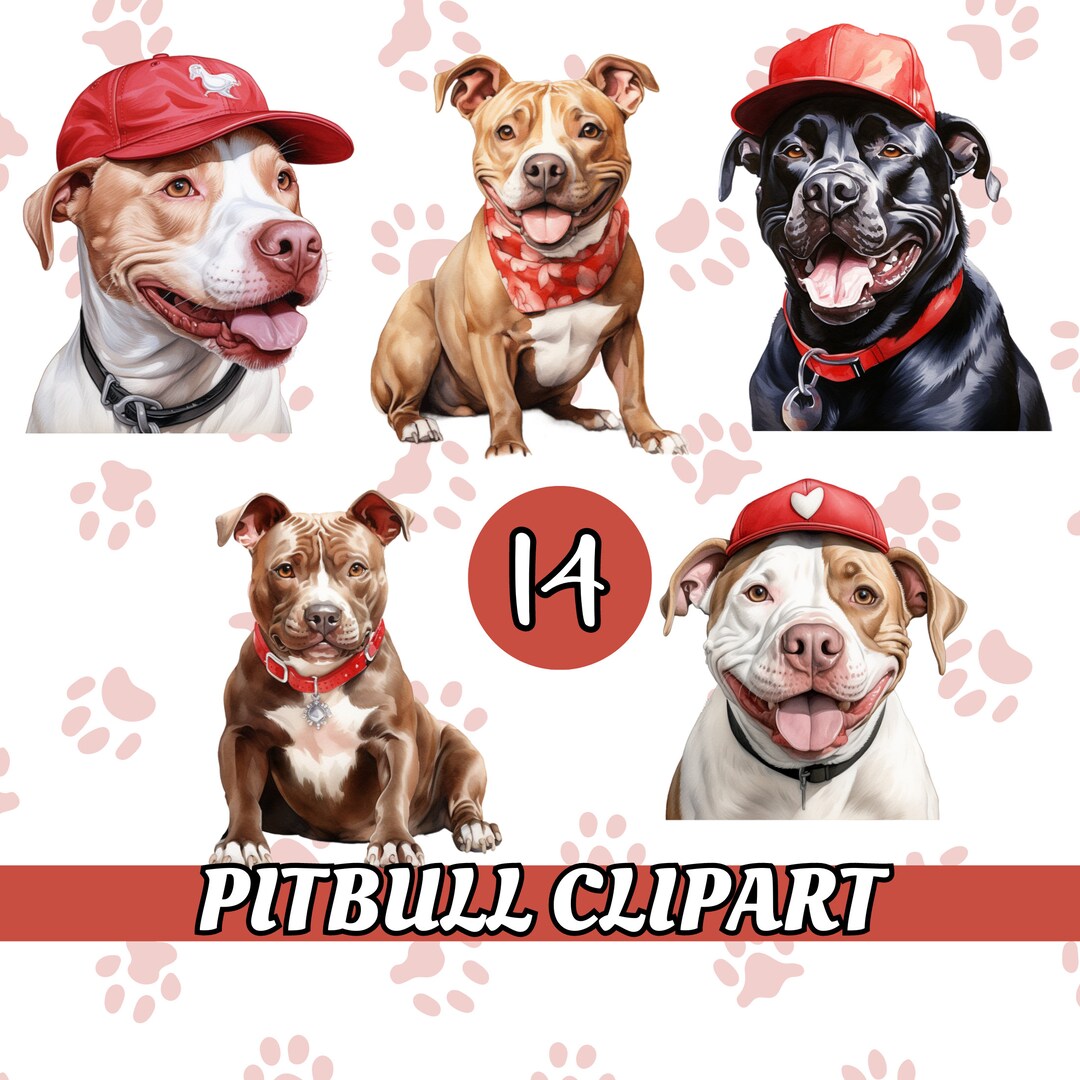Pitbull PNG Clipart Bundle/pitbull Graphics/14 Pitbull Prints/300 DPI ...