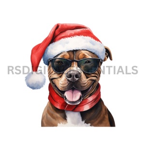 Christmas Pitbull Clipart Bundle/instant Download 4 PNG Files/christmas ...