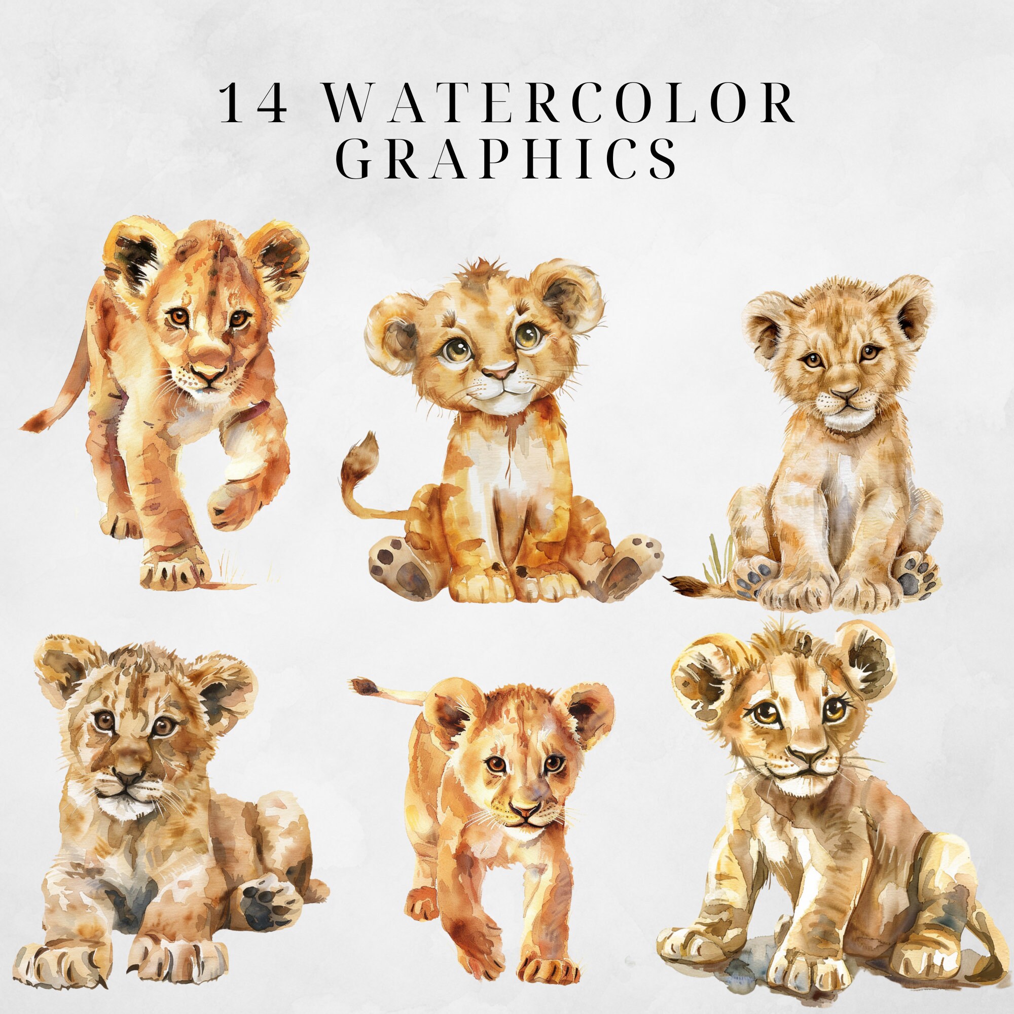 Watercolor Baby Lion Clipart/14 Lion Animal Graphics/animal Sublimation ...