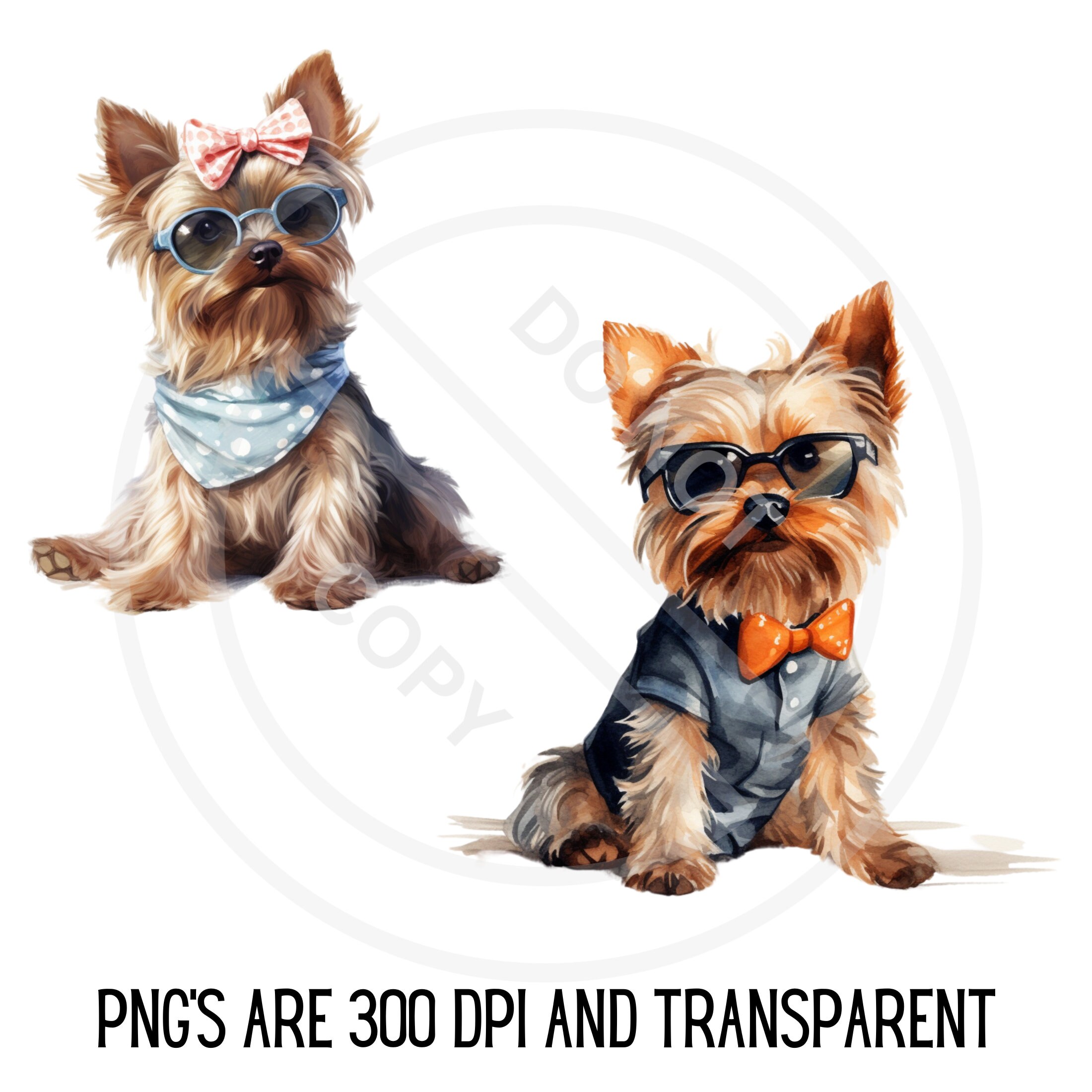 Yorkshire Terrier Clipart Bundle/20 Yorkie's With Sunglasses Png's/yorkie Lover Graphics/yorkie ...