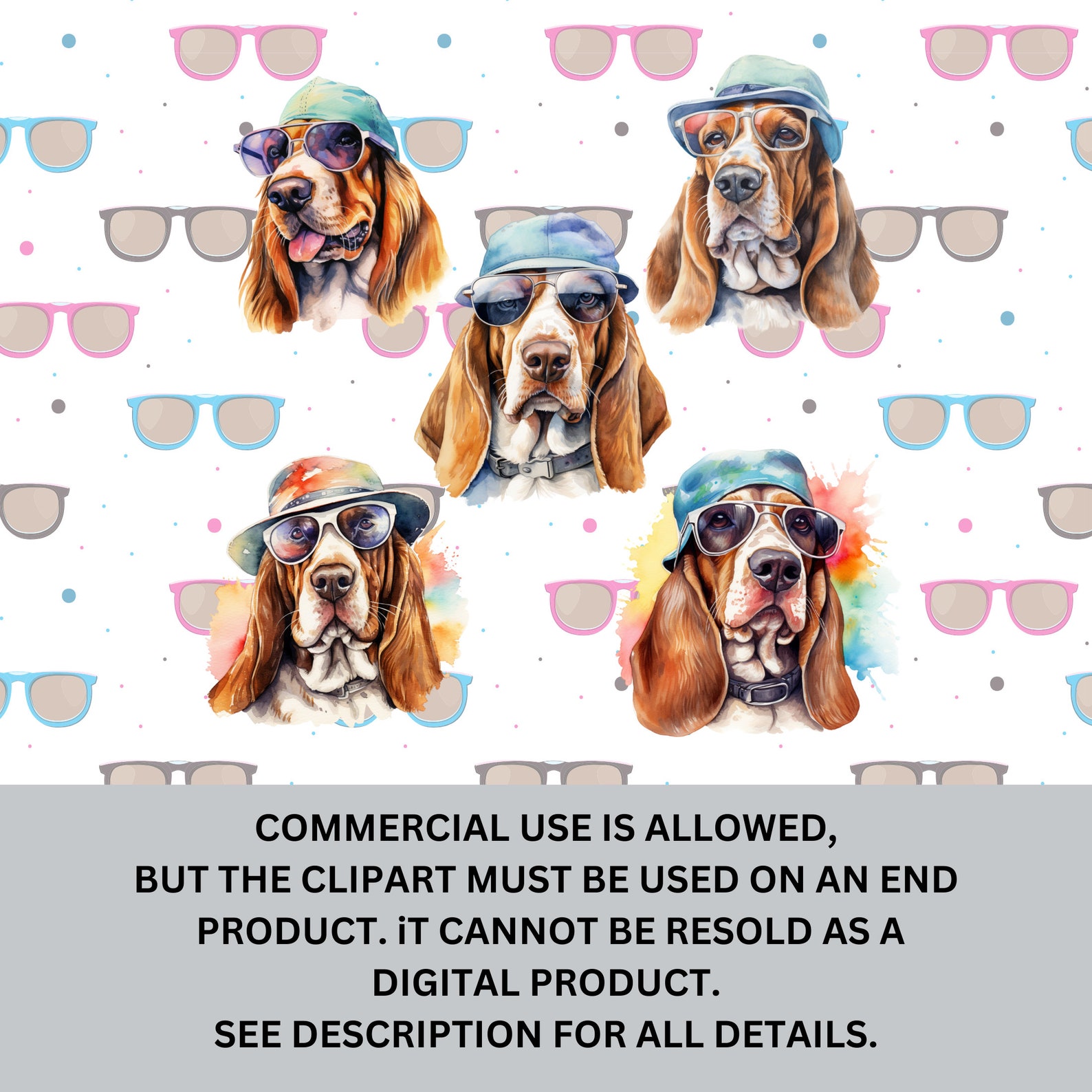 12 Cool Basset Hound Png's/clipart Bundle/instant Download/basset Hound ...