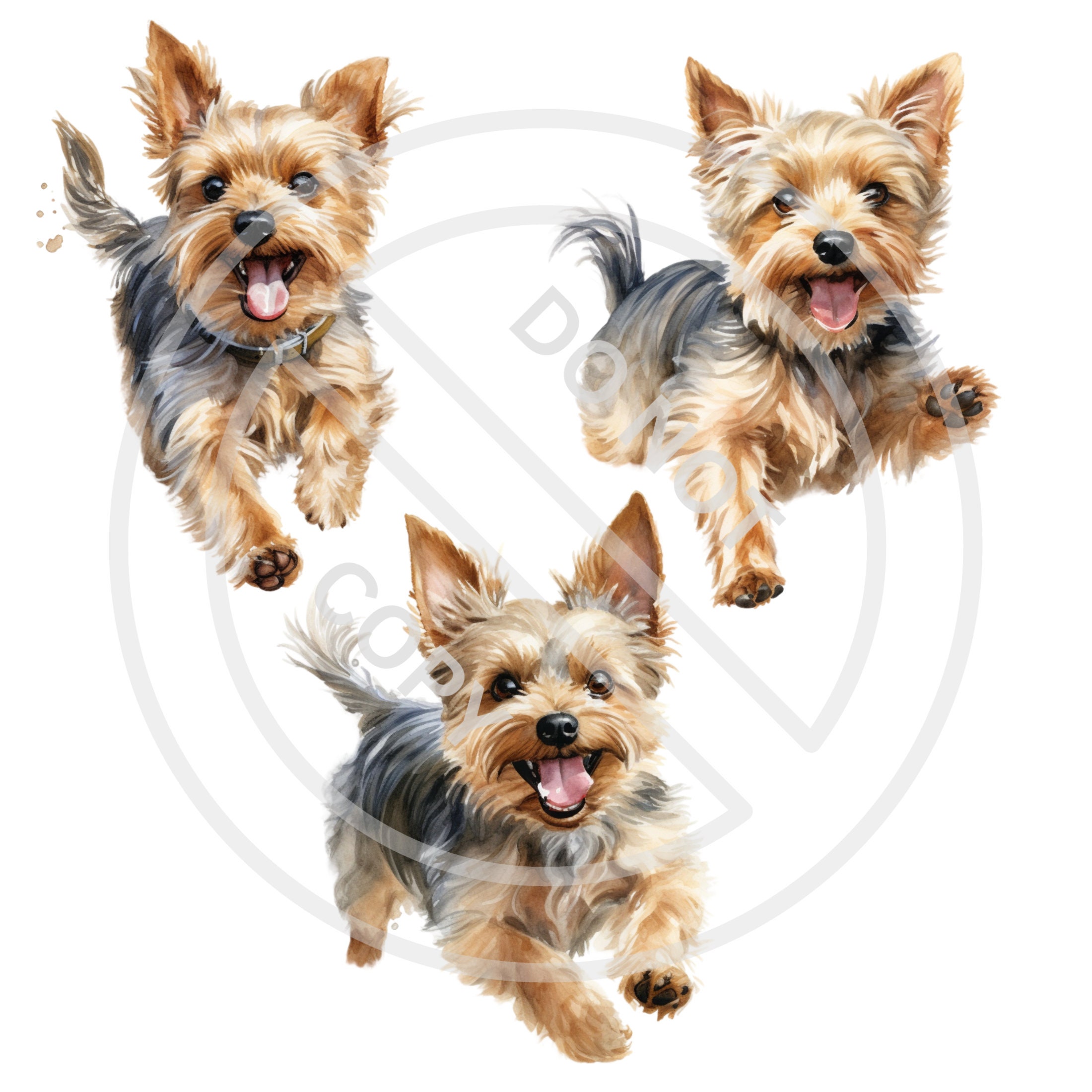 Yorkshire Terrier Clipart Bundle/instant Download 25 Png's/yorkie Lover ...