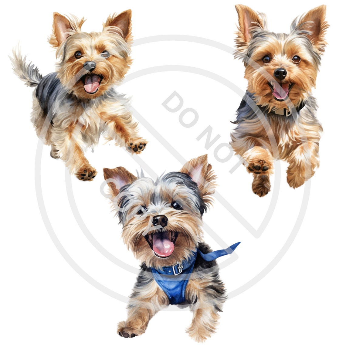 Yorkshire Terrier Clipart Bundle/instant Download 25 Png's/yorkie Lover ...