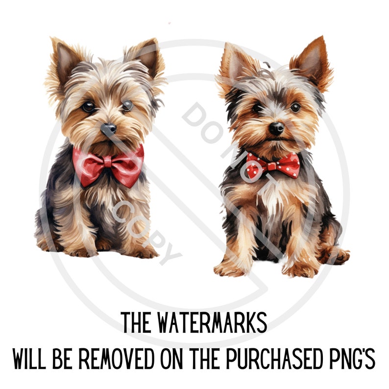 Yorkshire Terrier Clipart Bundle/instant Download 25 Png's/yorkie Lover Graphics/yorkie ...
