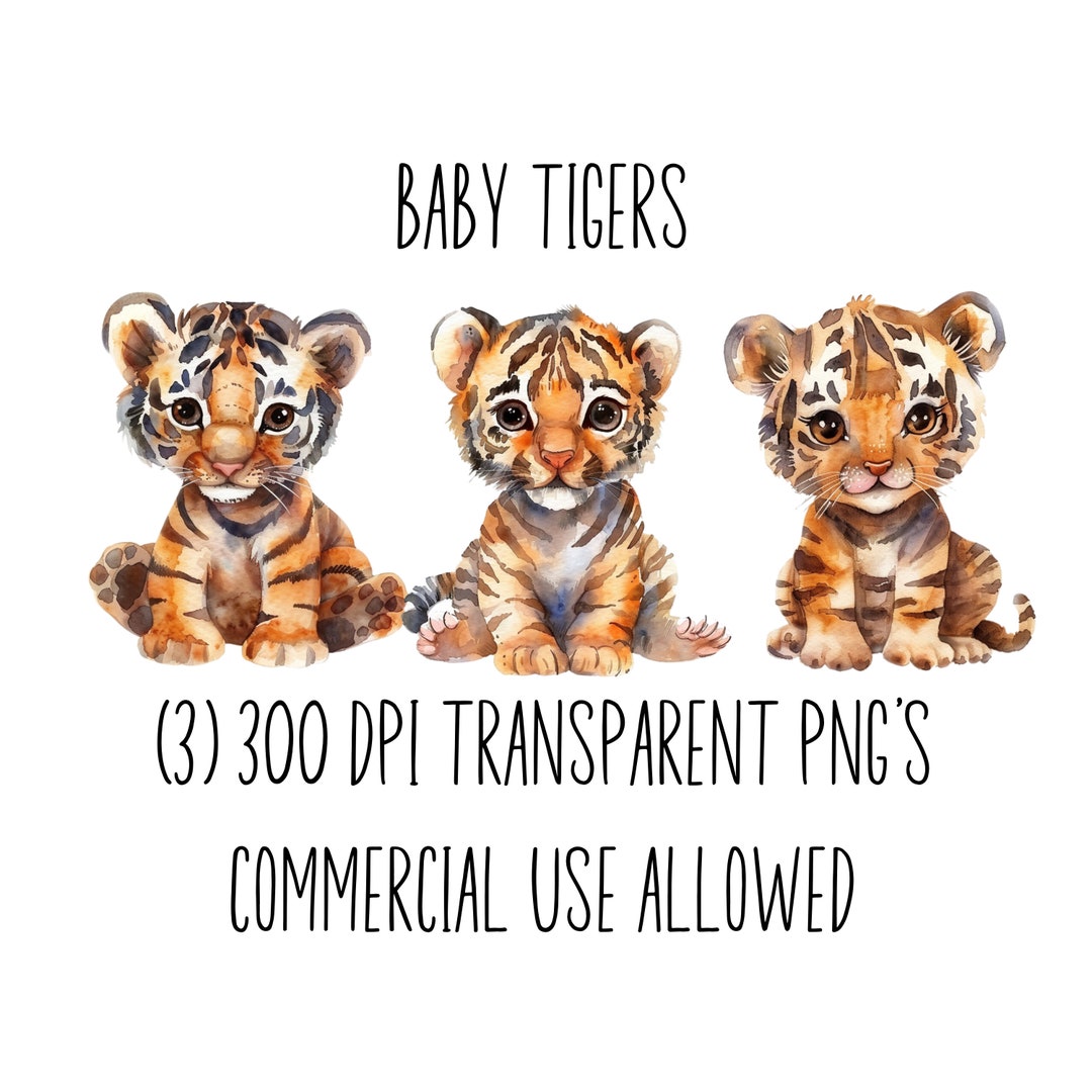 Watercolor Baby Tiger Clipart/3 Cute Tiger Graphics/tiger Sublimation ...
