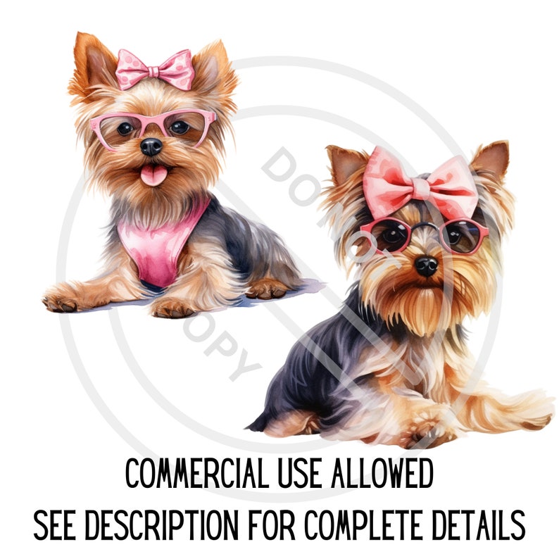Yorkshire Terrier Clipart Bundle/20 Yorkie's With Sunglasses Png's/yorkie Lover Graphics/yorkie ...
