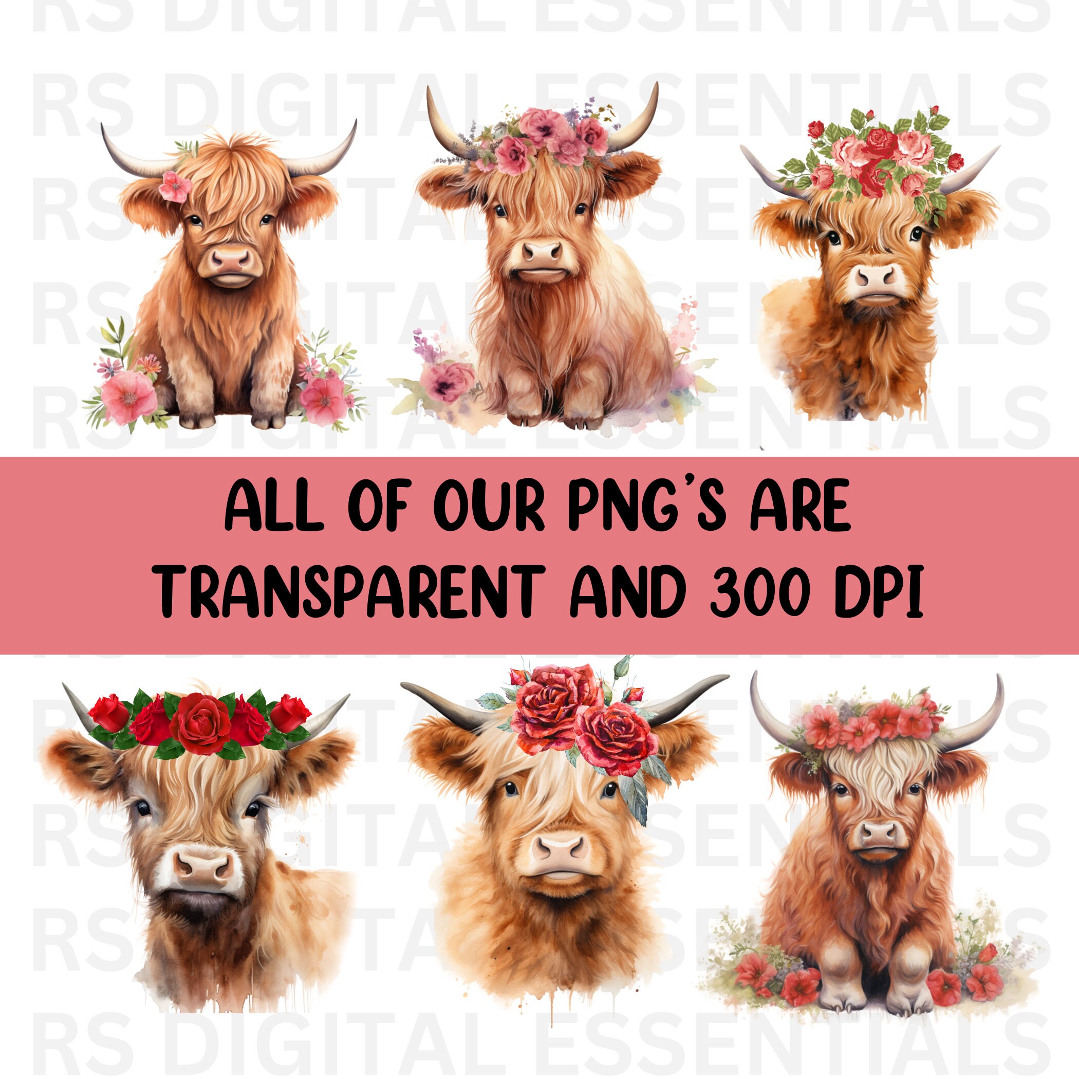 Highland Cow PNG Clipart Bundle/13 300 DPI Highland Cows With Floral ...