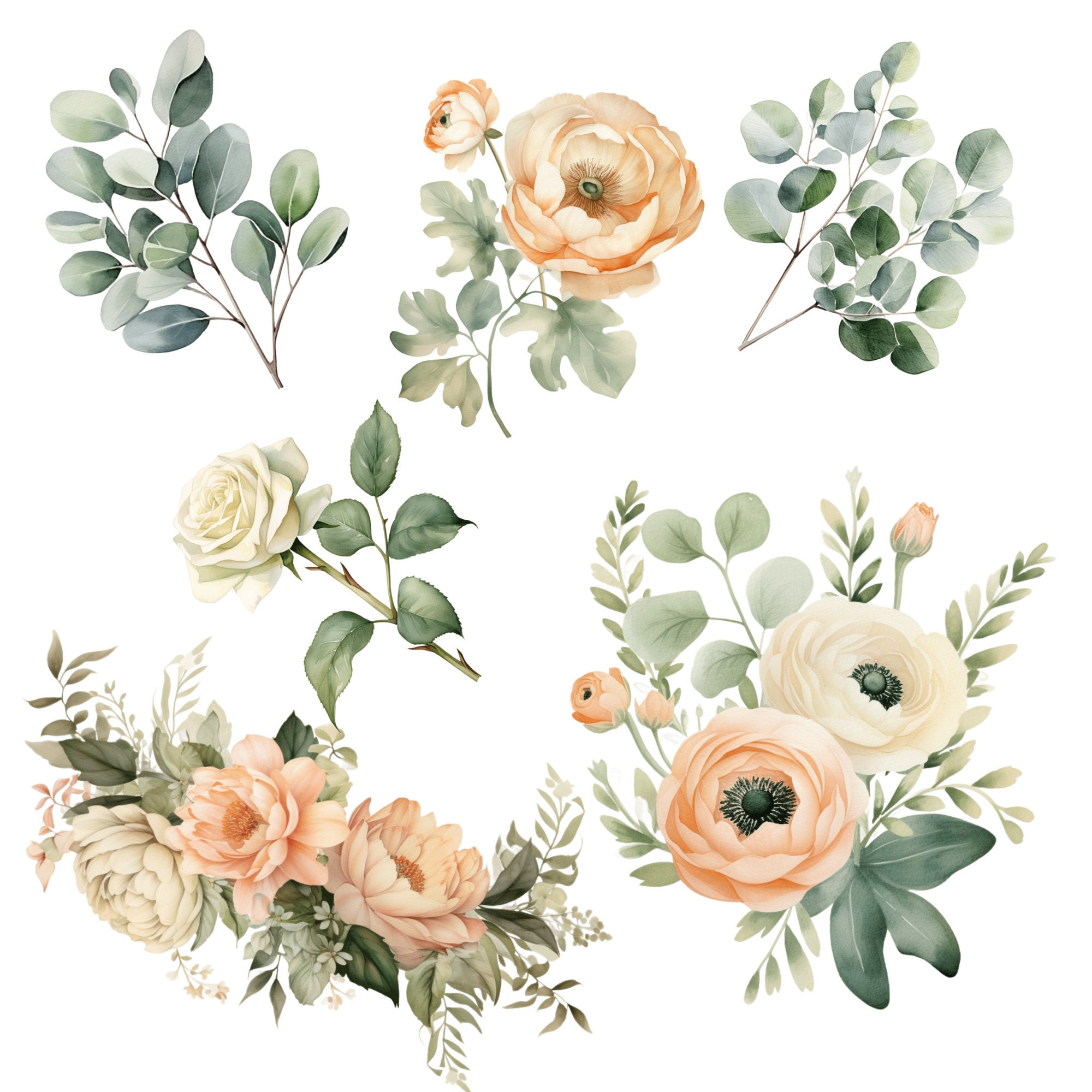 Watercolor Peach and Cream Floral Clipart Pack/81 Wedding Flower ...