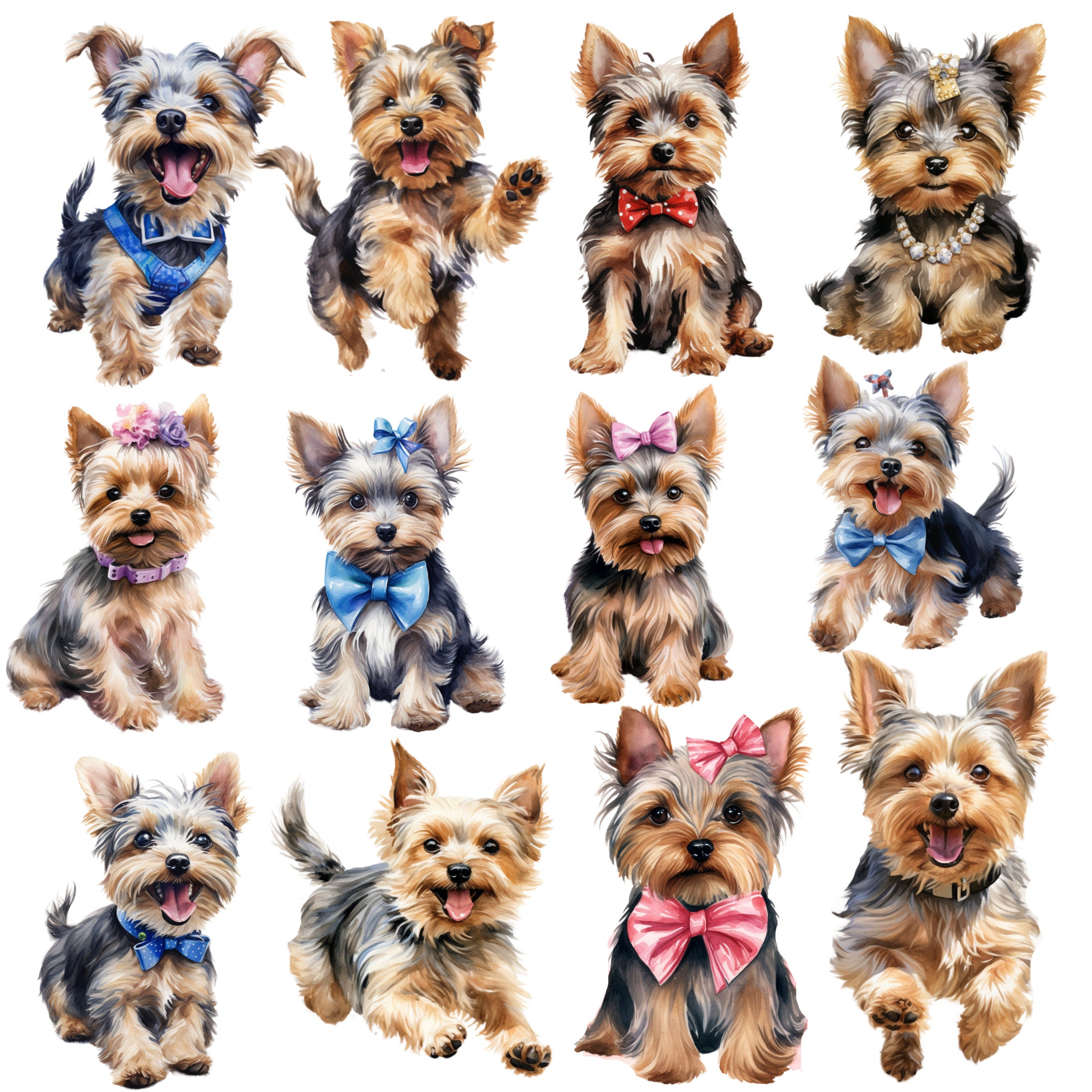 Yorkshire Terrier Clipart Bundle/instant Download 25 Png's/yorkie Lover ...