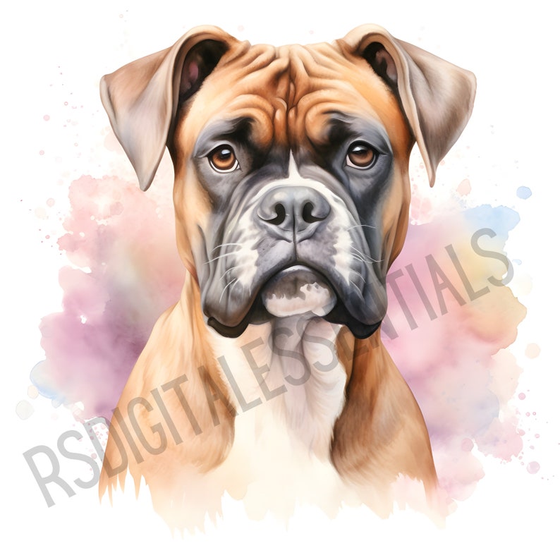 Memorial Boxer JPG Images/boxers With Angel Wings Graphics/boxer ...