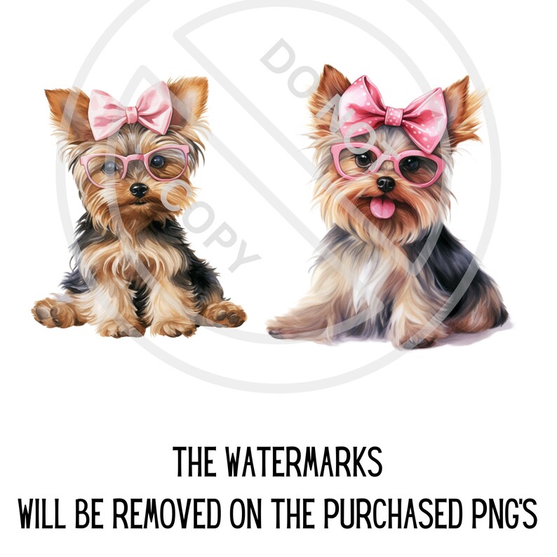Yorkshire Terrier Clipart Bundle/20 Yorkie's With Sunglasses Png's/yorkie Lover Graphics/yorkie ...