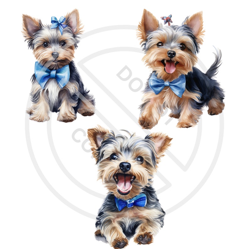 Yorkshire Terrier Clipart Bundle/instant Download 25 Png's/yorkie Lover Graphics/yorkie ...