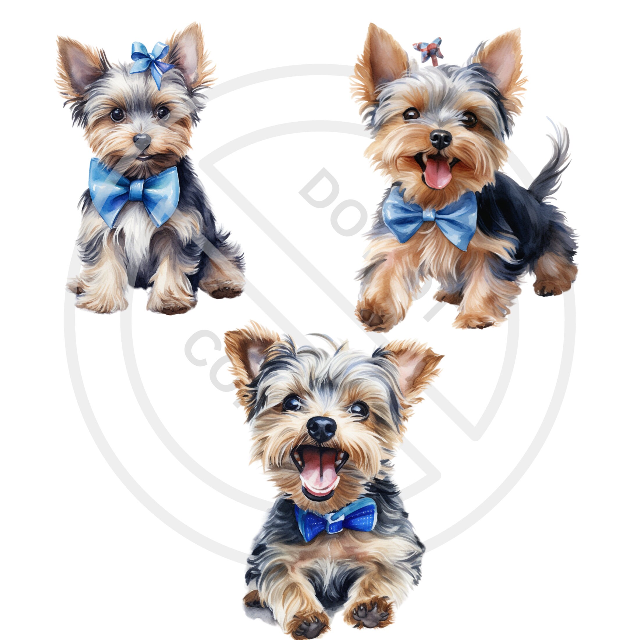 Yorkshire Terrier Clipart Bundle/instant Download 25 Png's/yorkie Lover Graphics/yorkie ...
