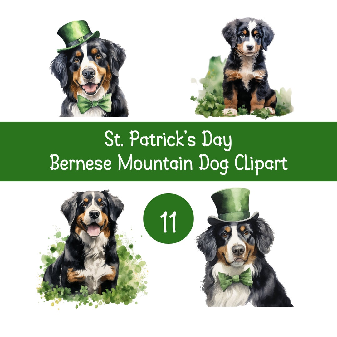 Saint Patrick's Day Bernese Mountain Dog Clipart Bundle/instant ...