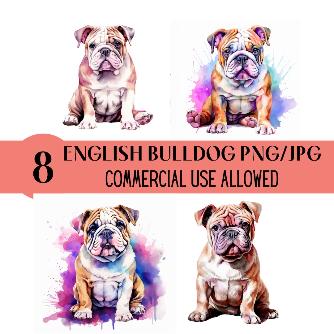 English Bulldog Clipart/bulldog PNG Clipart/dog Clipart-english Bulldog ...
