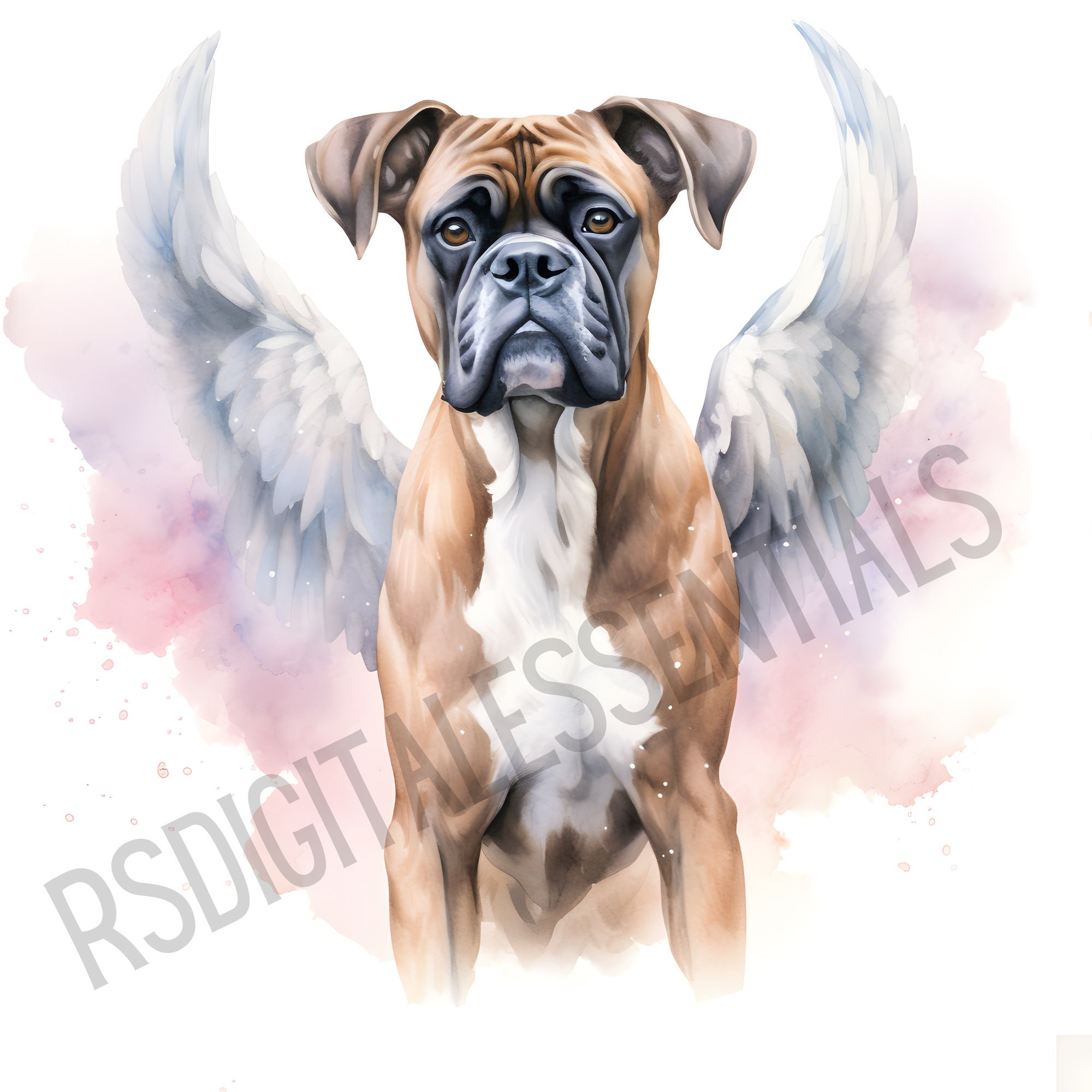 Memorial Boxer JPG Images/boxers With Angel Wings - Etsy