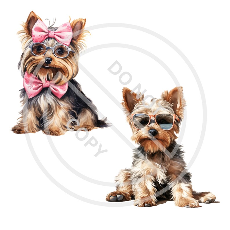 Yorkshire Terrier Clipart Bundle/20 Yorkie's With Sunglasses Png's/yorkie Lover Graphics/yorkie ...