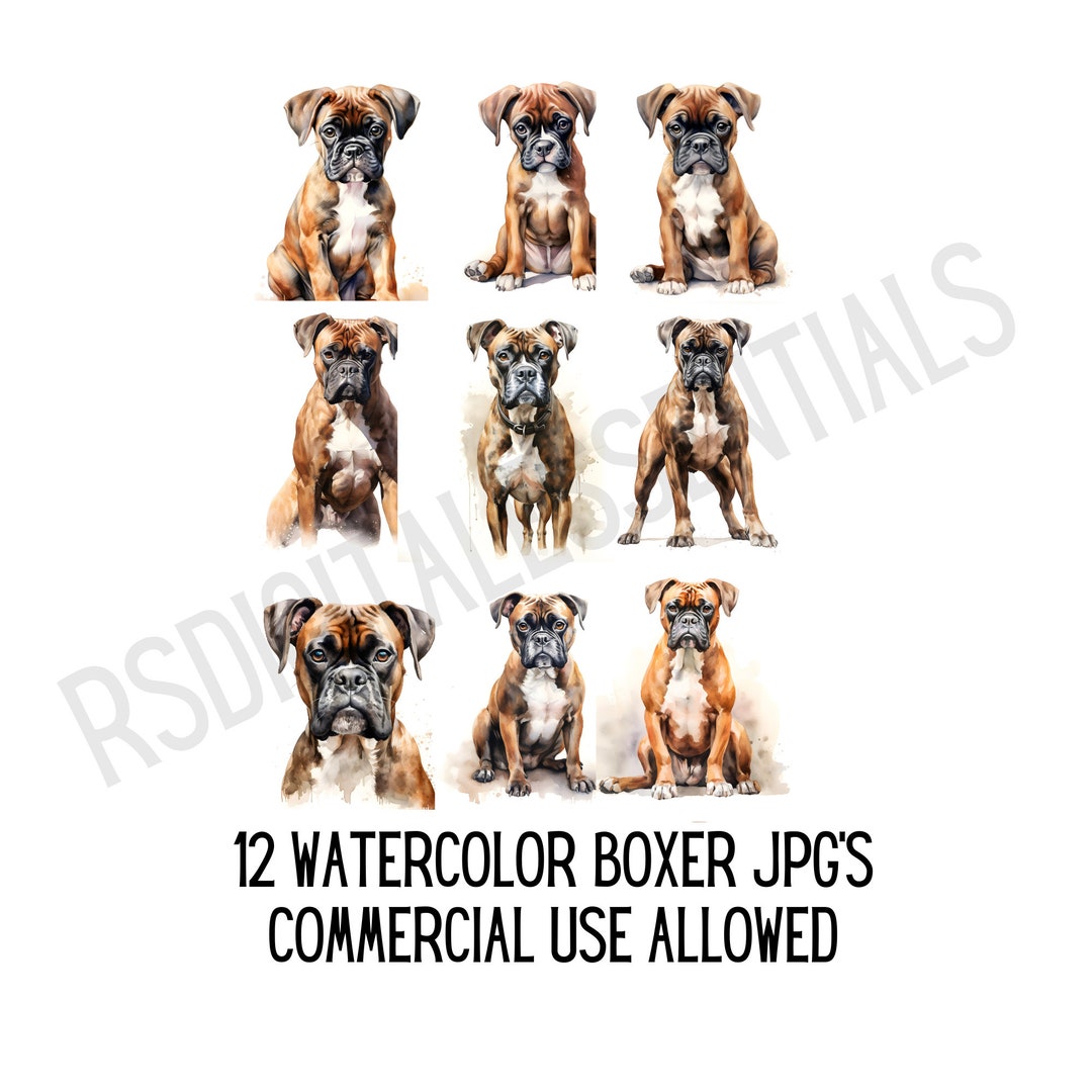 Boxer JPG Images/boxer Graphics/boxer Prints/boxer Printable JPG Images ...