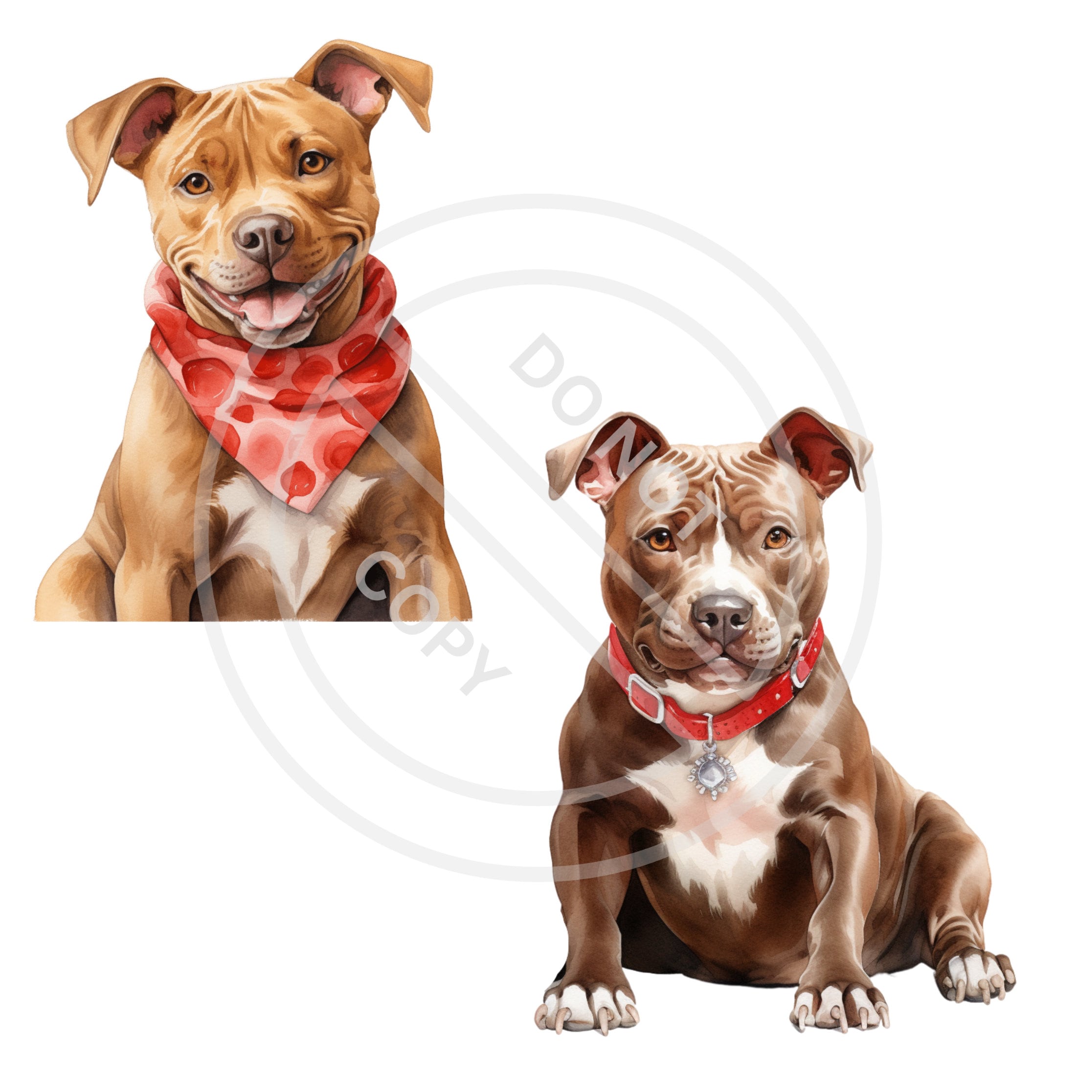 Pitbull PNG Clipart Bundle/pitbull Graphics/14 Pitbull Prints/300 DPI ...