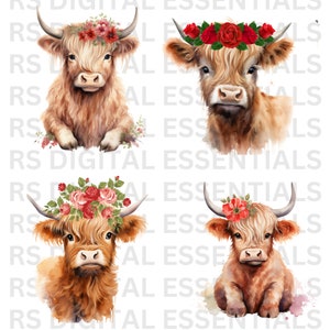Highland Cow PNG Clipart Bundle/13 300 DPI Highland Cows With Floral ...
