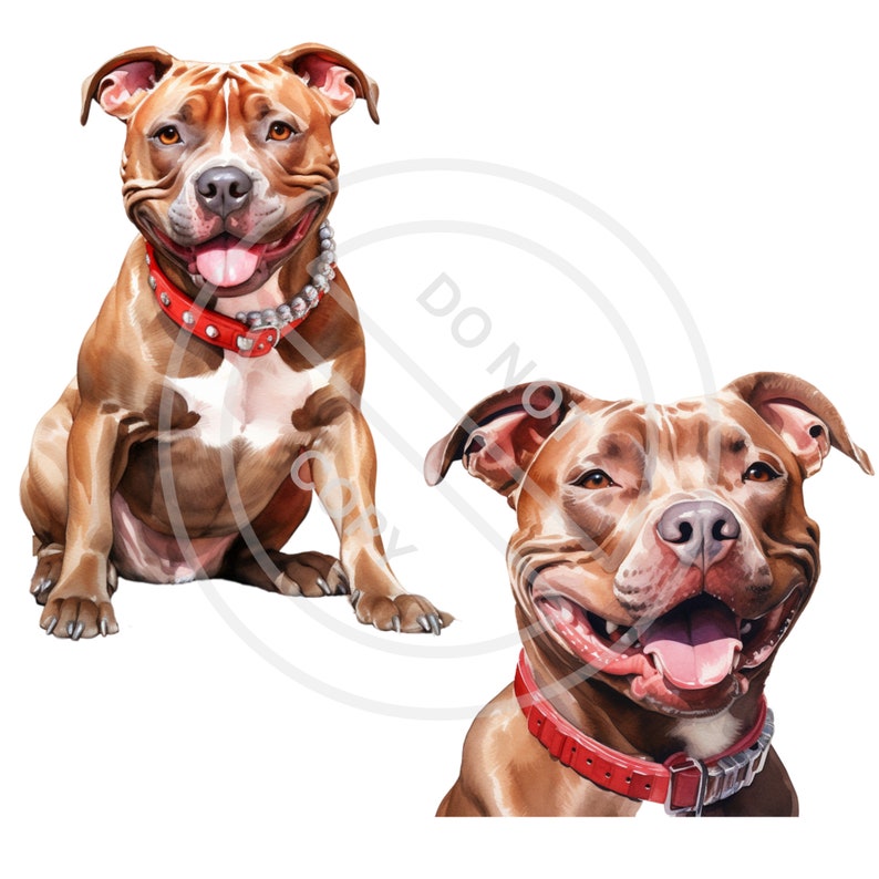Pitbull PNG Clipart Bundle/pitbull Graphics/14 Pitbull Prints/300 DPI ...