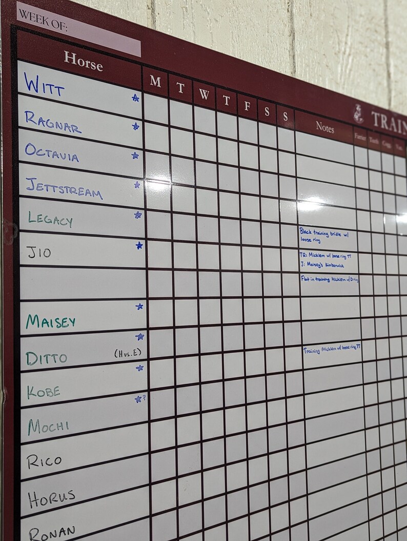 Equestrian Training Program Dry Erase Whiteboard - Etsy
